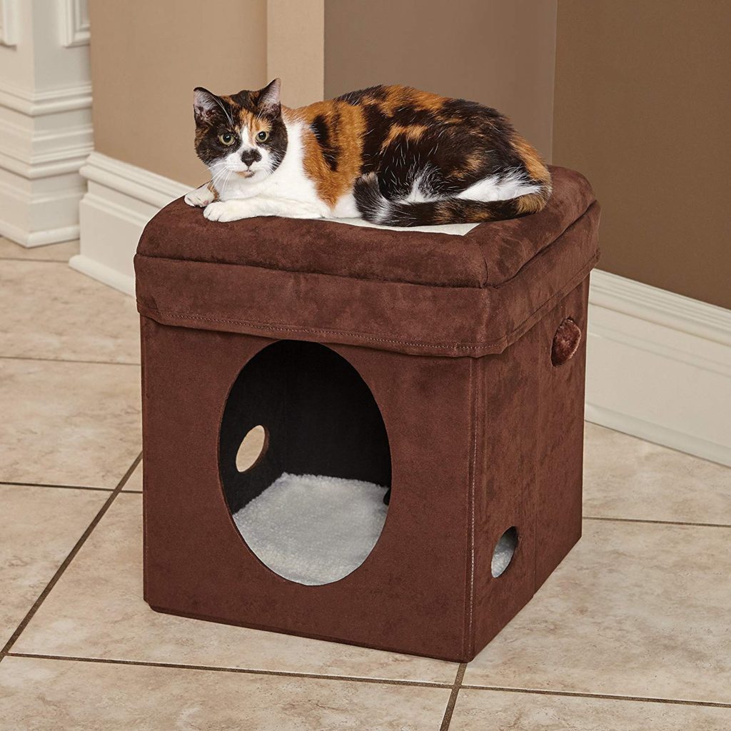 Curious Cat Cube - Naturally For Pets
