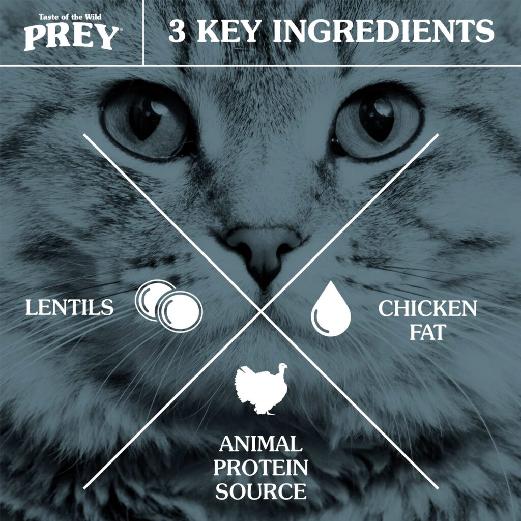 Taste of the Wild Angus Beef | PREY | Cat Food - Naturally For Pets