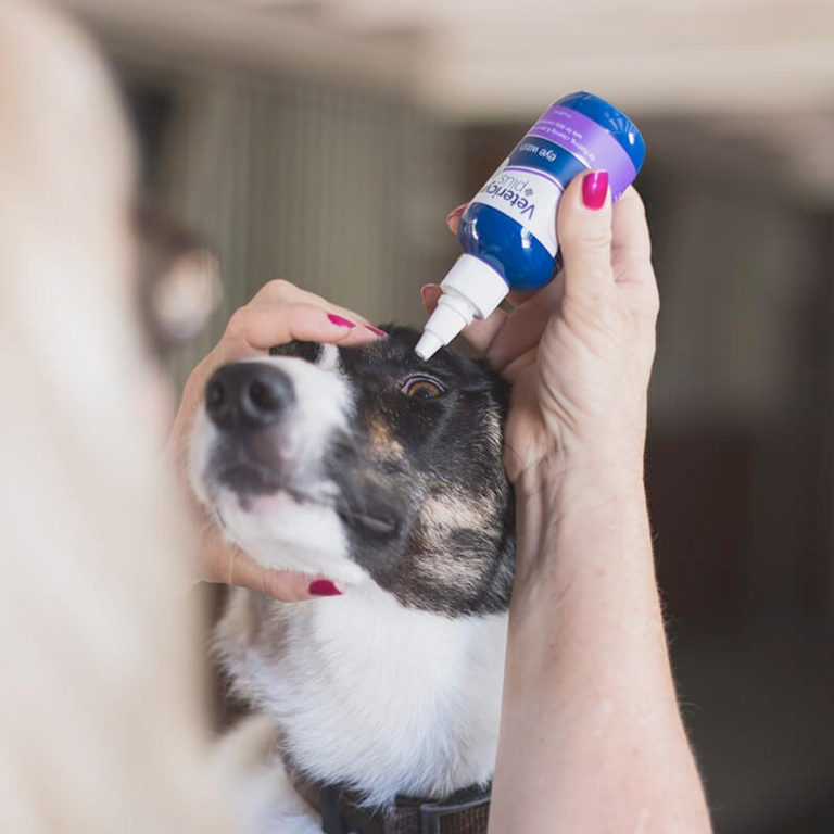 Vetericyn Plus® Antimicrobial Eye Wash - 3oz - Naturally For Pets
