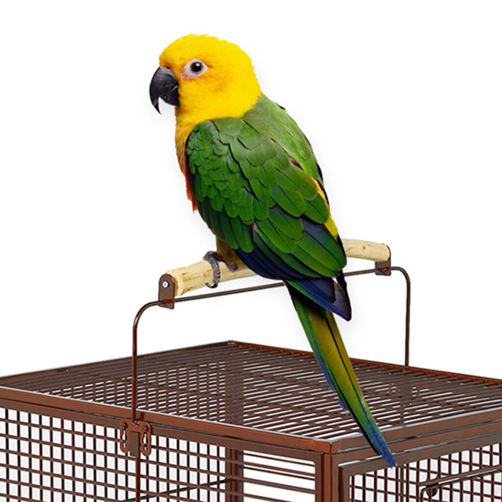 MidWest Avian Adventures Poquito Avian Hotel Bird Cage - Naturally For Pets