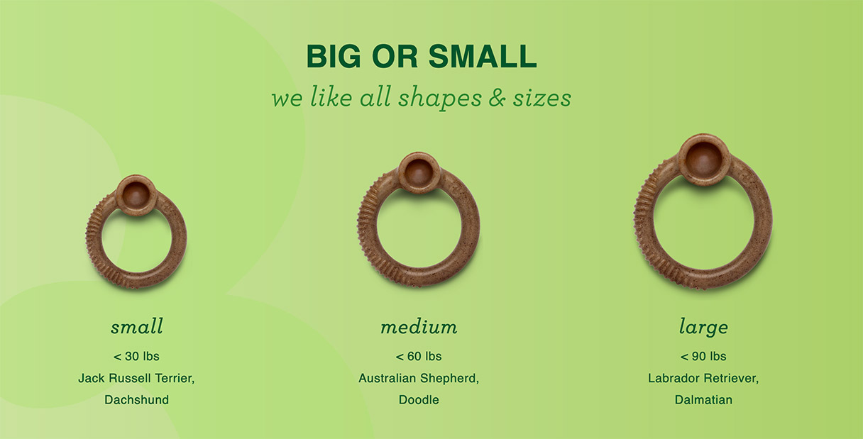Benebone RING Dog Toy – Bacon - Medium