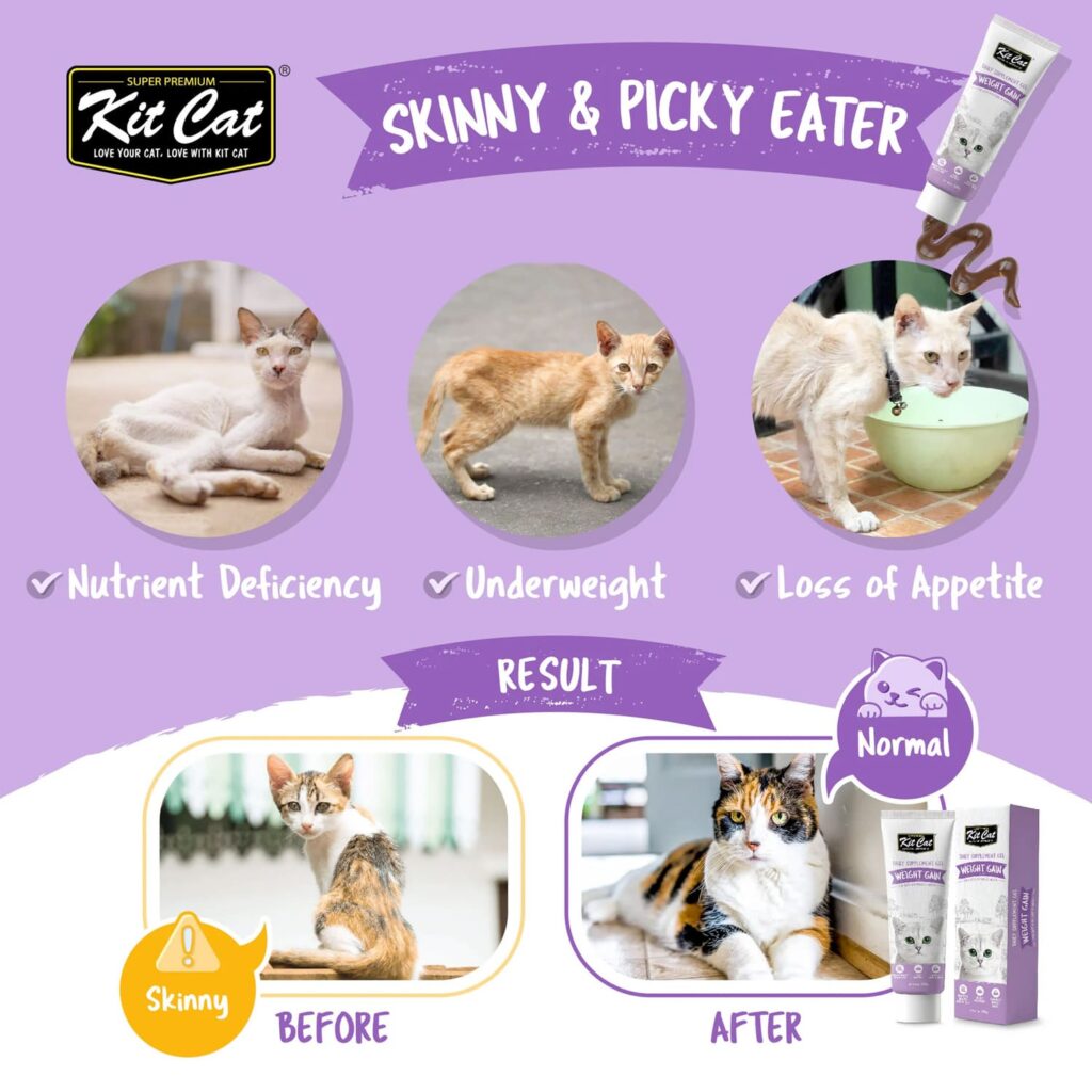 Kit Cat Daily Nutritional Supplement Gel For Cats & Kittens- Weight ...